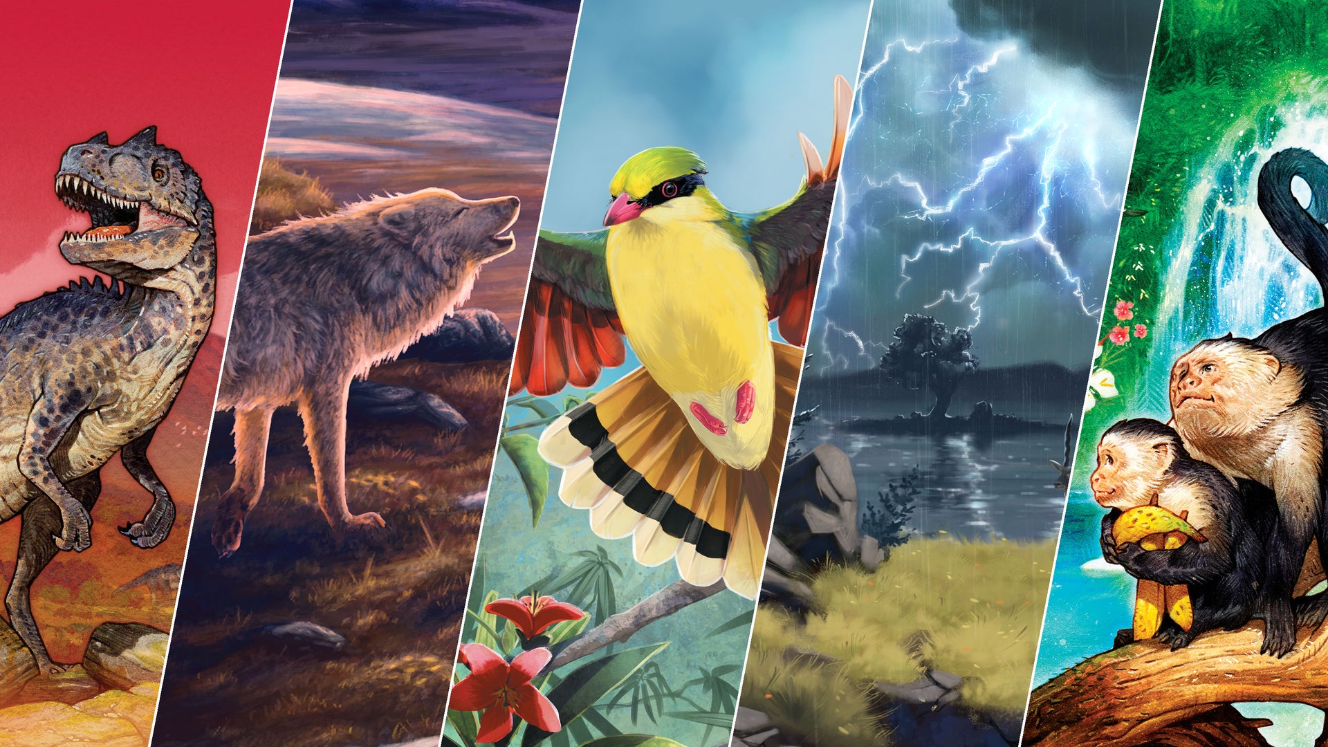 Nature Board Game | Adapt to the Changing Environment – North Star Games