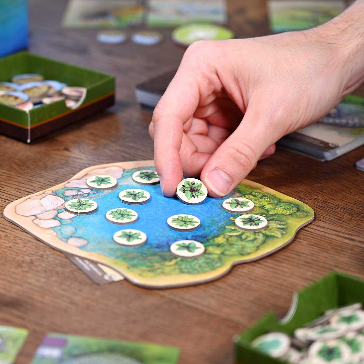 Buy Nature Board Game | Adapt to the Changing Environment – North Star ...