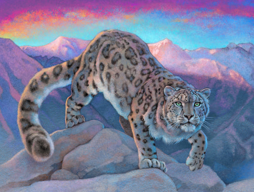 Buy Evolution Board Game | NorthStar Game Studio – North Star Games