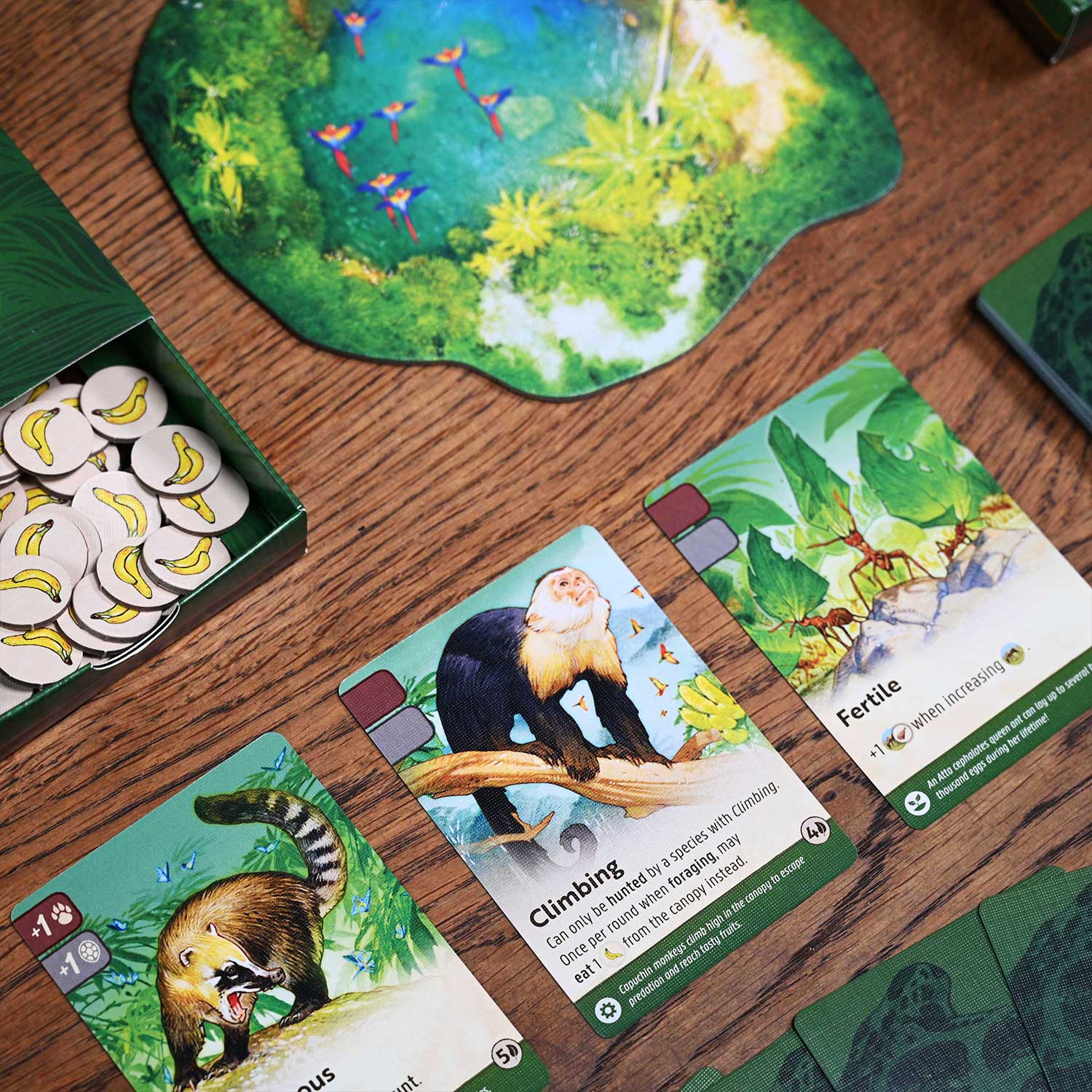 Buy Nature Module 5: Amazon Rainforest | Nature Board Game Expansion ...