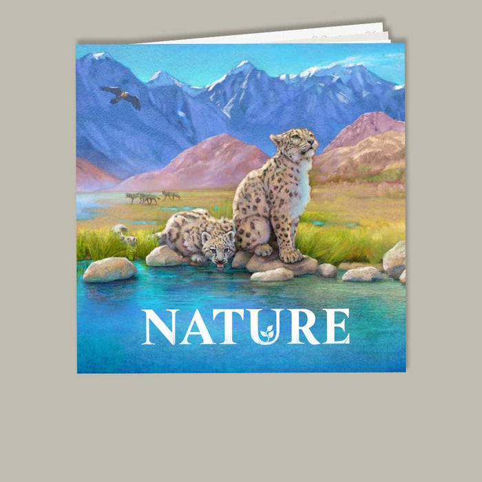 Nature Board Game Resources – North Star Games