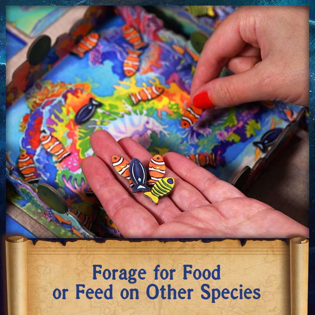 Buy Oceans Board Game | NorthStar Game Studio – North Star Games